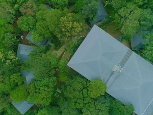 Elephant Passage – Luxury Resorts in Munnar, Best Hotels in Munnar