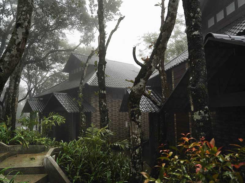 Elephant Passage – Luxury Resorts in Munnar, Best Hotels in Munnar