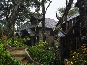 Elephant Passage – Luxury Resorts in Munnar, Best Hotels in Munnar