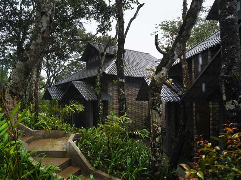 Elephant Passage – Luxury Resorts in Munnar, Best Hotels in Munnar