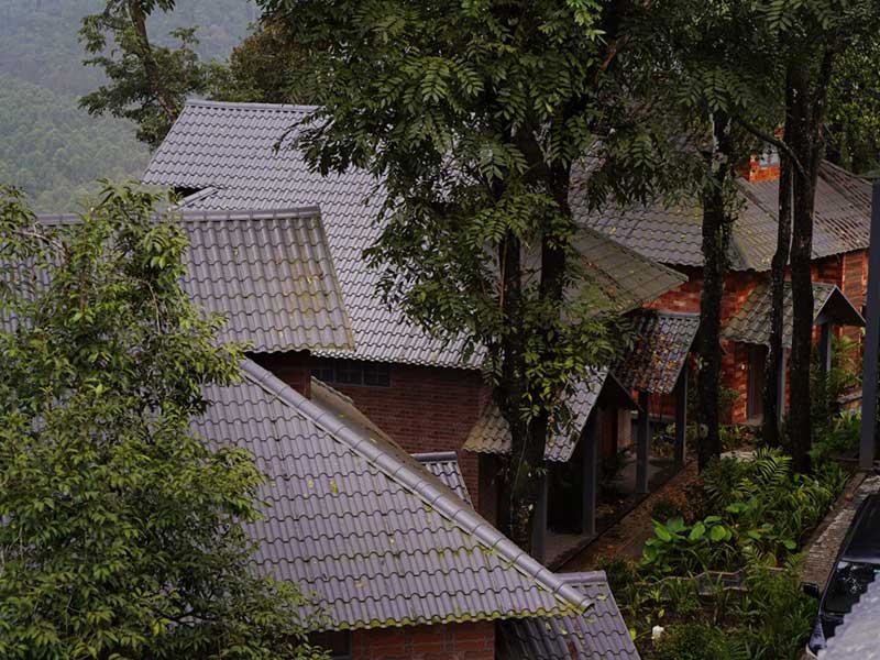 Elephant Passage – Luxury Resorts in Munnar, Best Hotels in Munnar