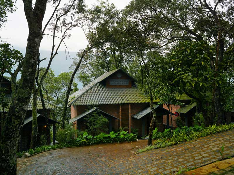 Elephant Passage – Luxury Resorts in Munnar, Best Hotels in Munnar