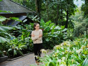 Elephant Passage – Luxury Resorts in Munnar, Best Hotels in Munnar